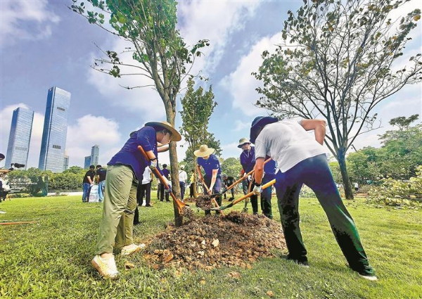 深圳启动“万里添绿”行动 五年增种补植树木100万株_媒体宣传